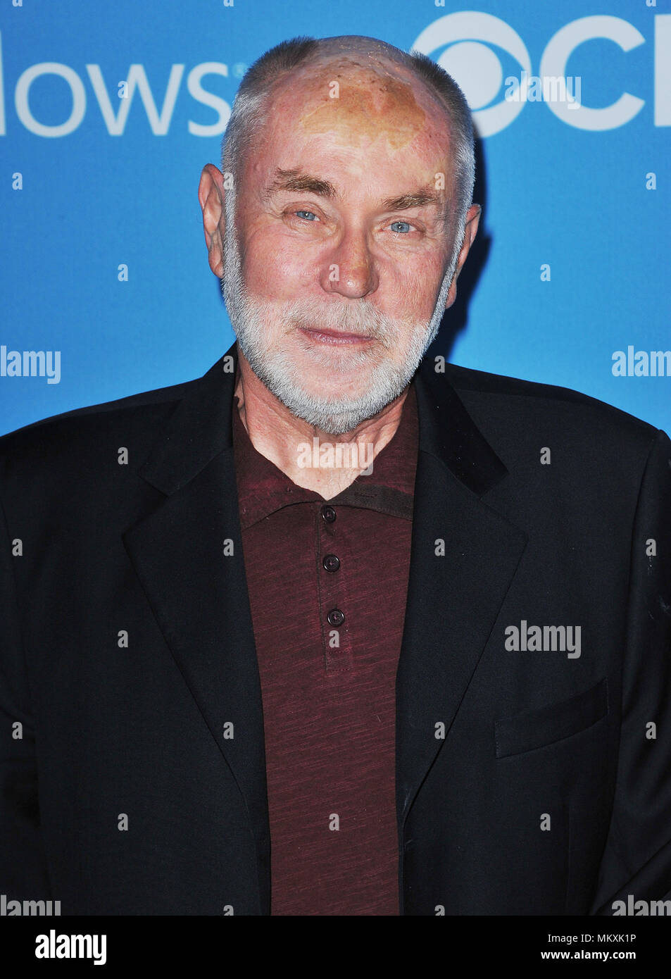Robert David Hall at the CBS 2012 Fall Premiere Party at the Greystone ...