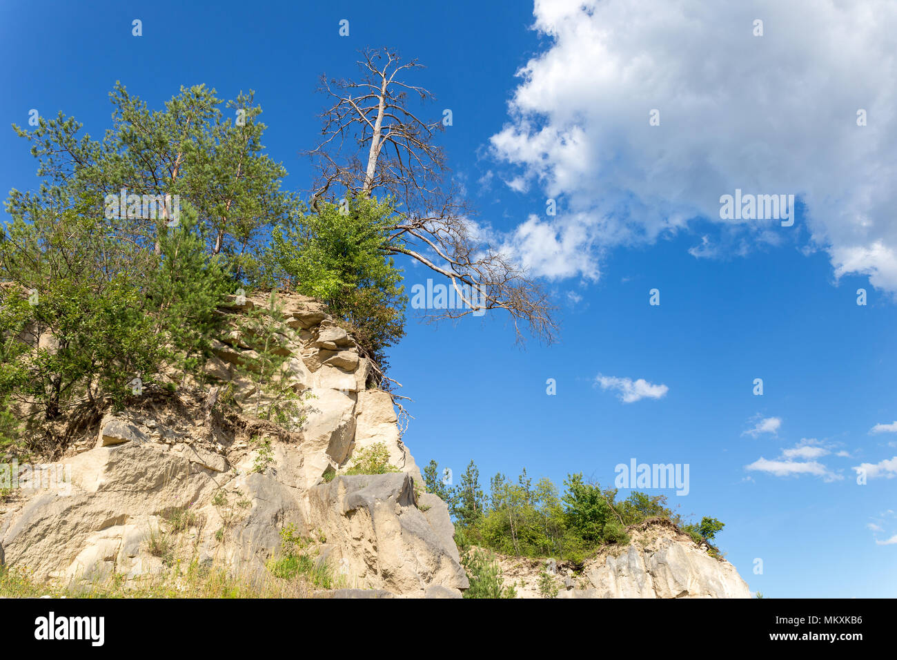 An old sandstone quarry covered with trees Stock Photo - Alamy