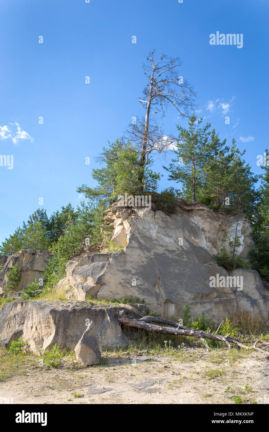 An old sandstone quarry covered with trees Stock Photo - Alamy