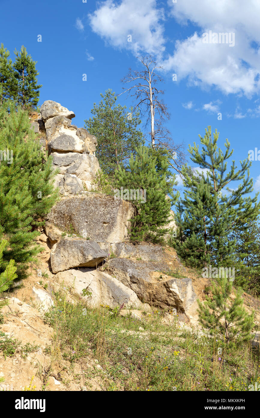 An old sandstone quarry covered with trees Stock Photo - Alamy