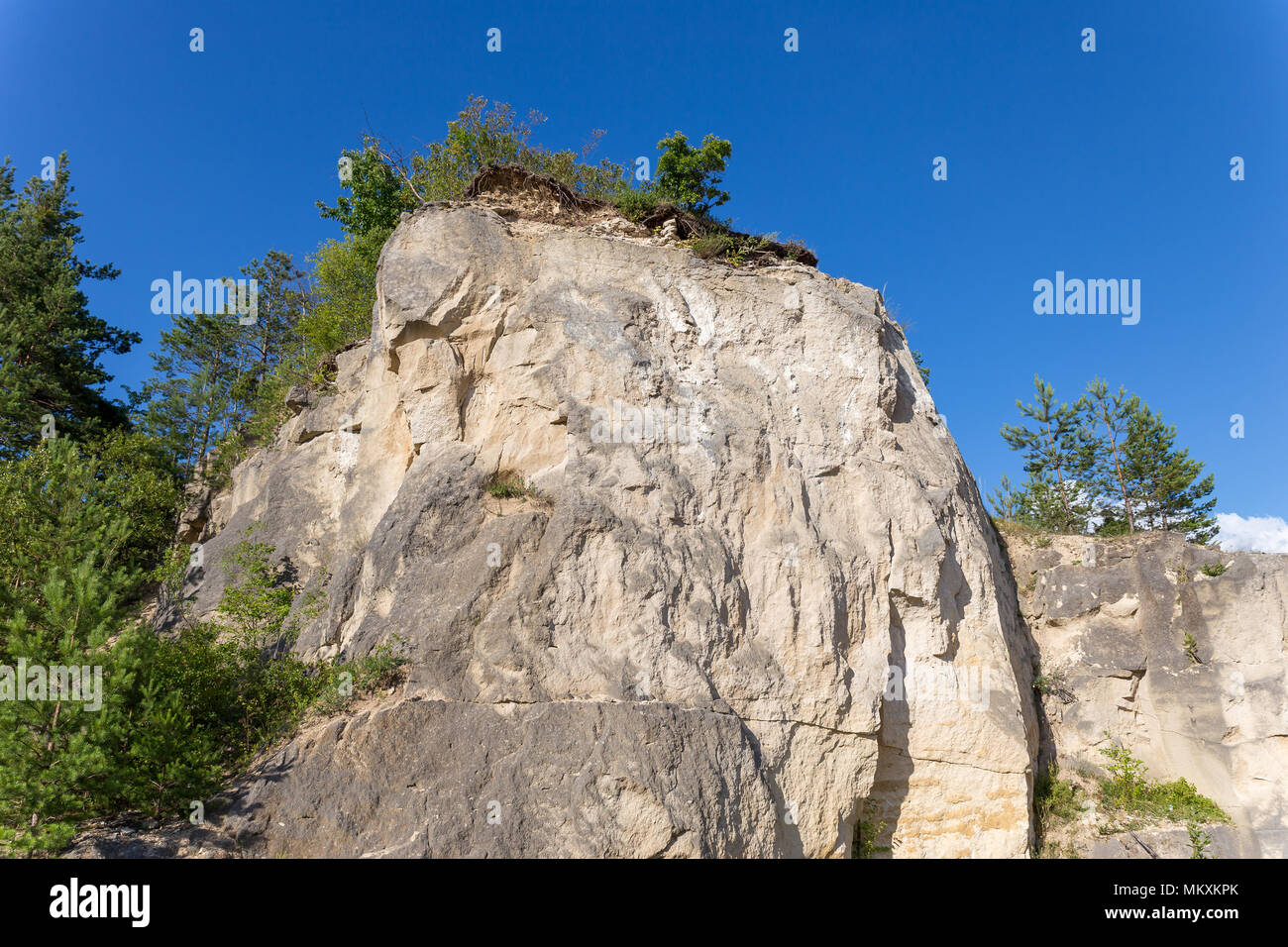 An old sandstone quarry covered with trees Stock Photo - Alamy
