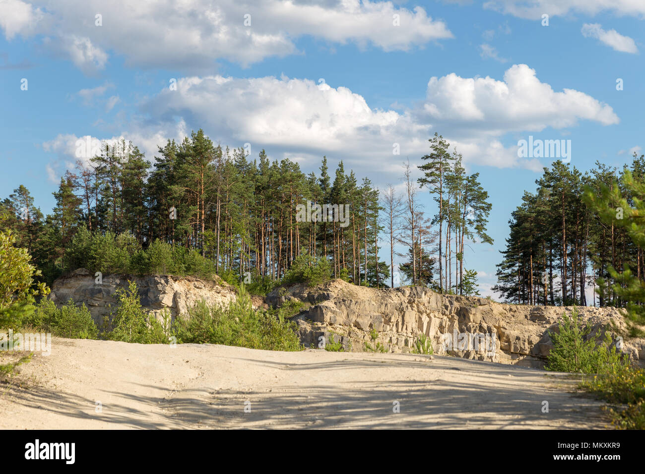An old sandstone quarry covered with trees Stock Photo - Alamy