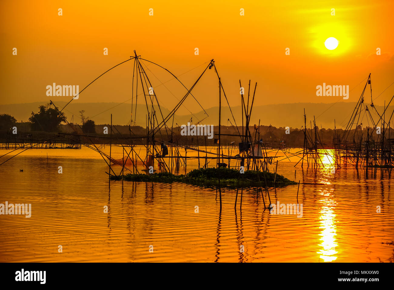 Fisherman working on bamboo scaffolding with traditional bamboo fishing ...