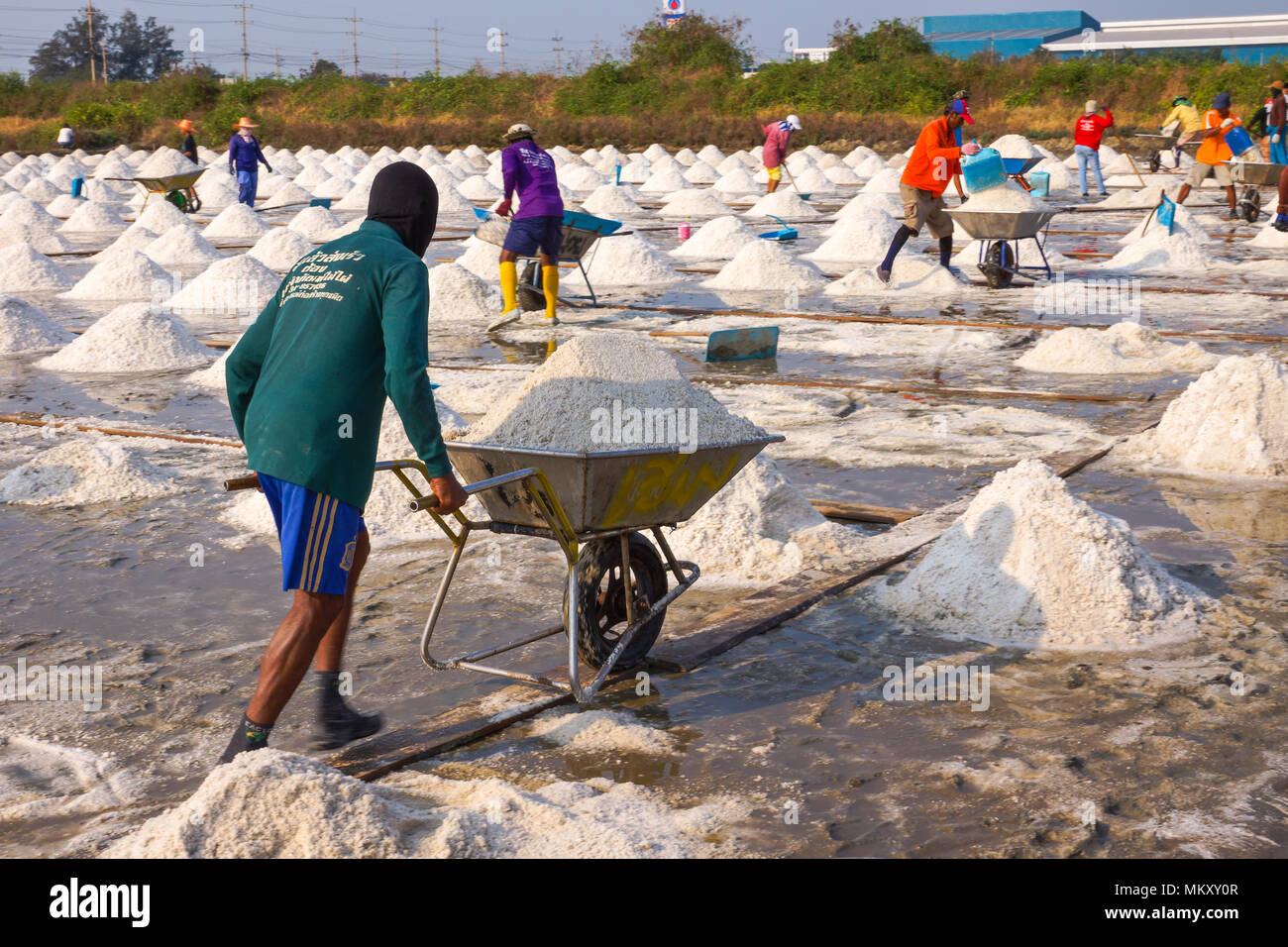 Local people working in salt hi-res stock photography and images - Alamy