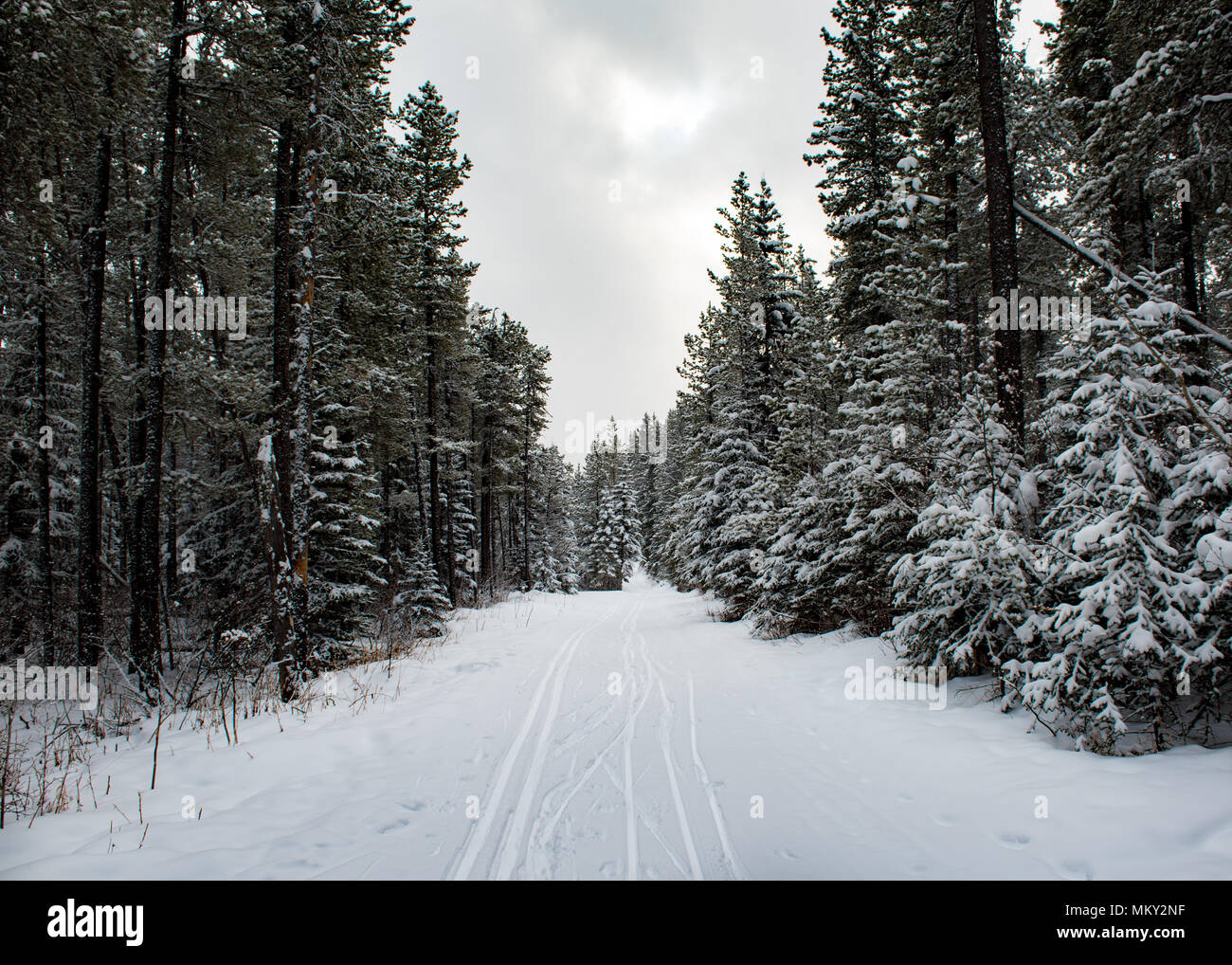 Back country trails hi-res stock photography and images - Alamy