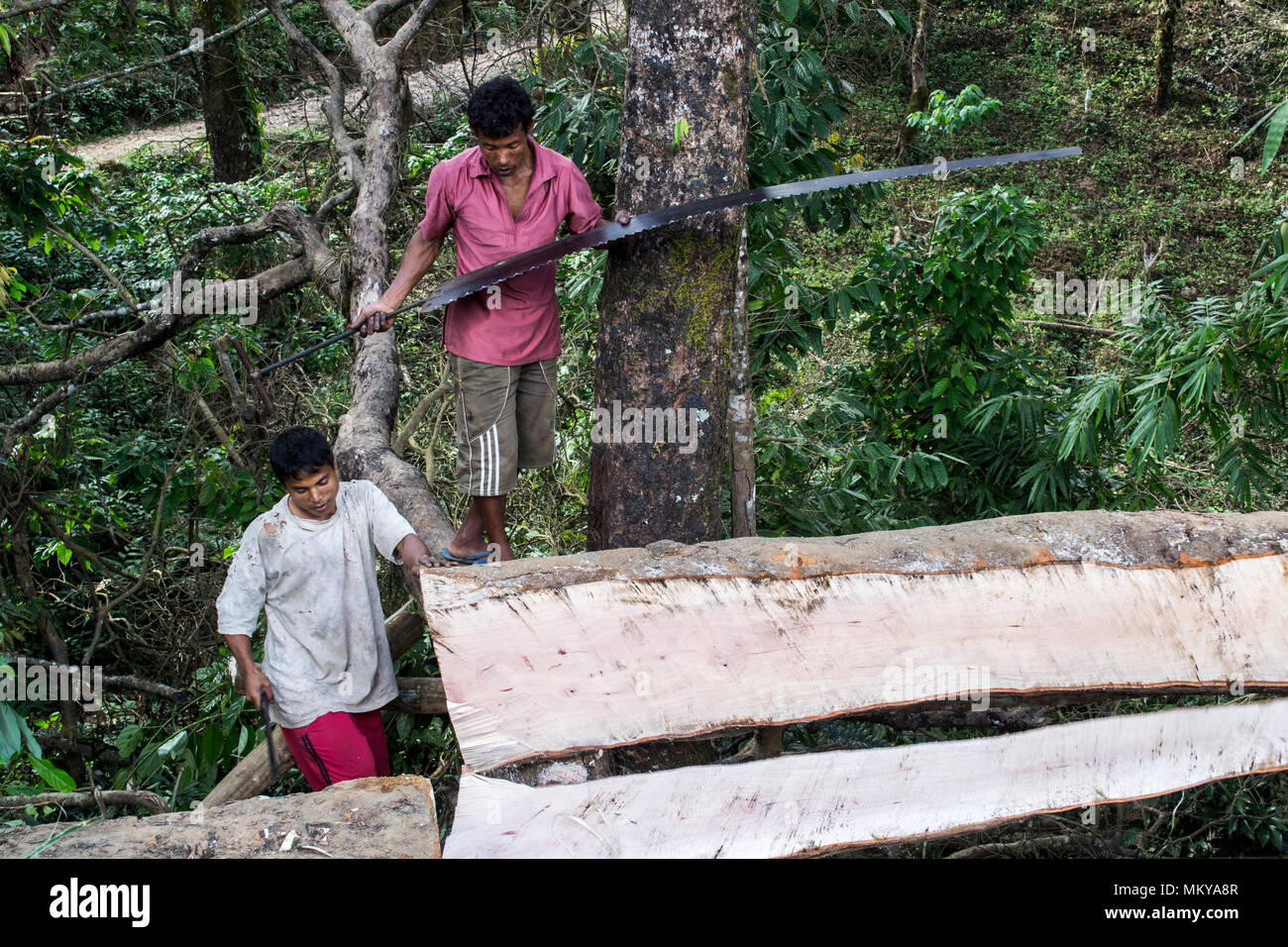 Garo village hi-res stock photography and images - Alamy