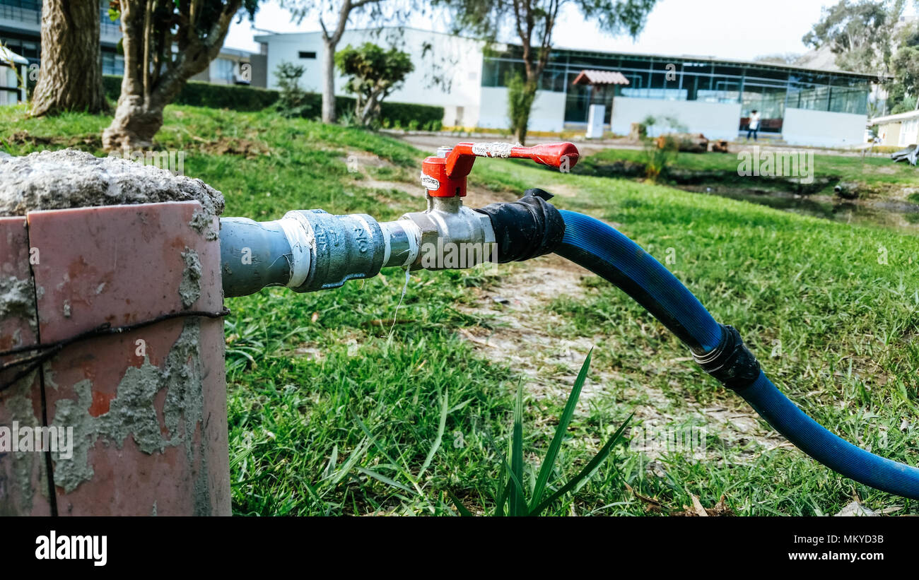 Hose connected to the water pipe on the green grass Stock Photo - Alamy