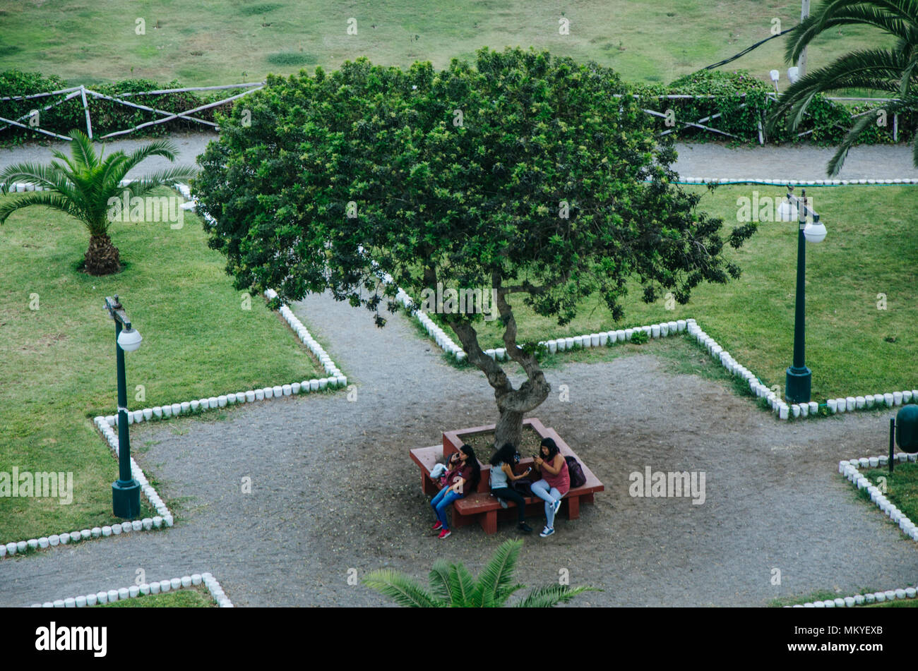 Three friends sitting park hi-res stock photography and images - Alamy
