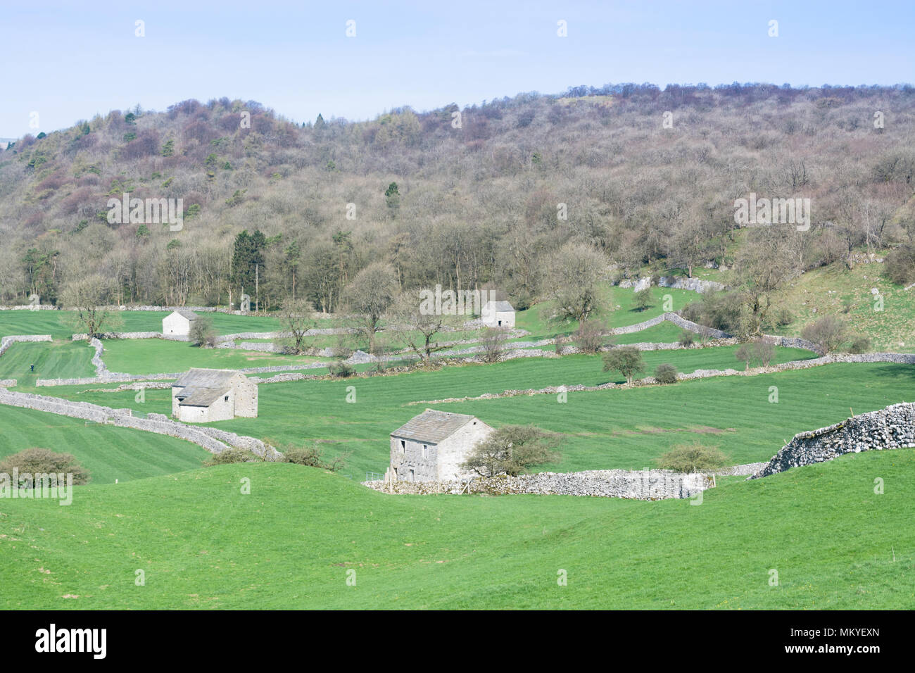 Dales fields and barns in Wharfedale Stock Photo - Alamy