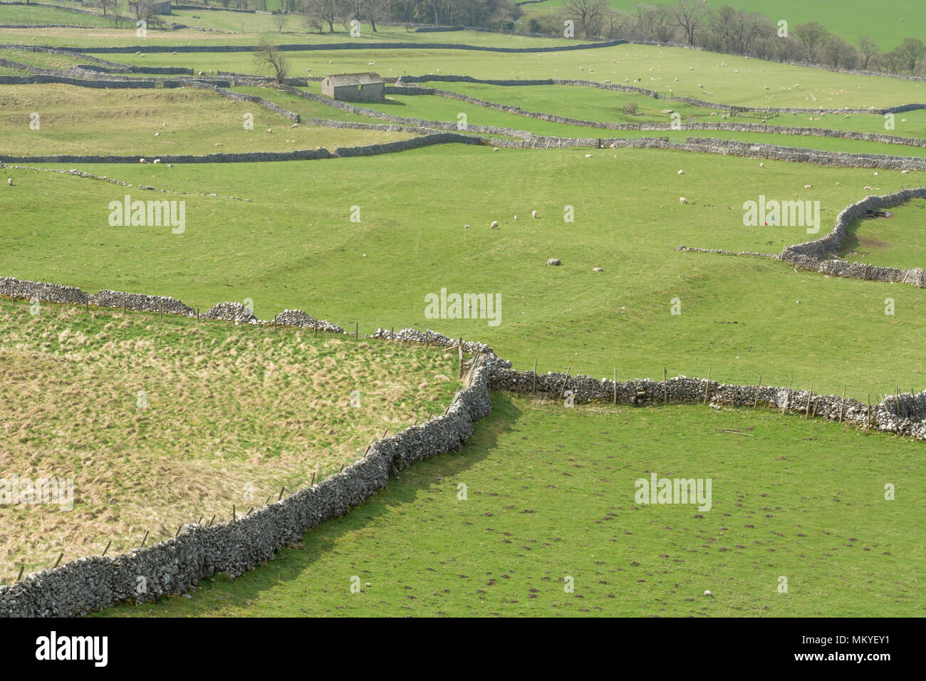 Dales fields and barns in Wharfedale Stock Photo - Alamy