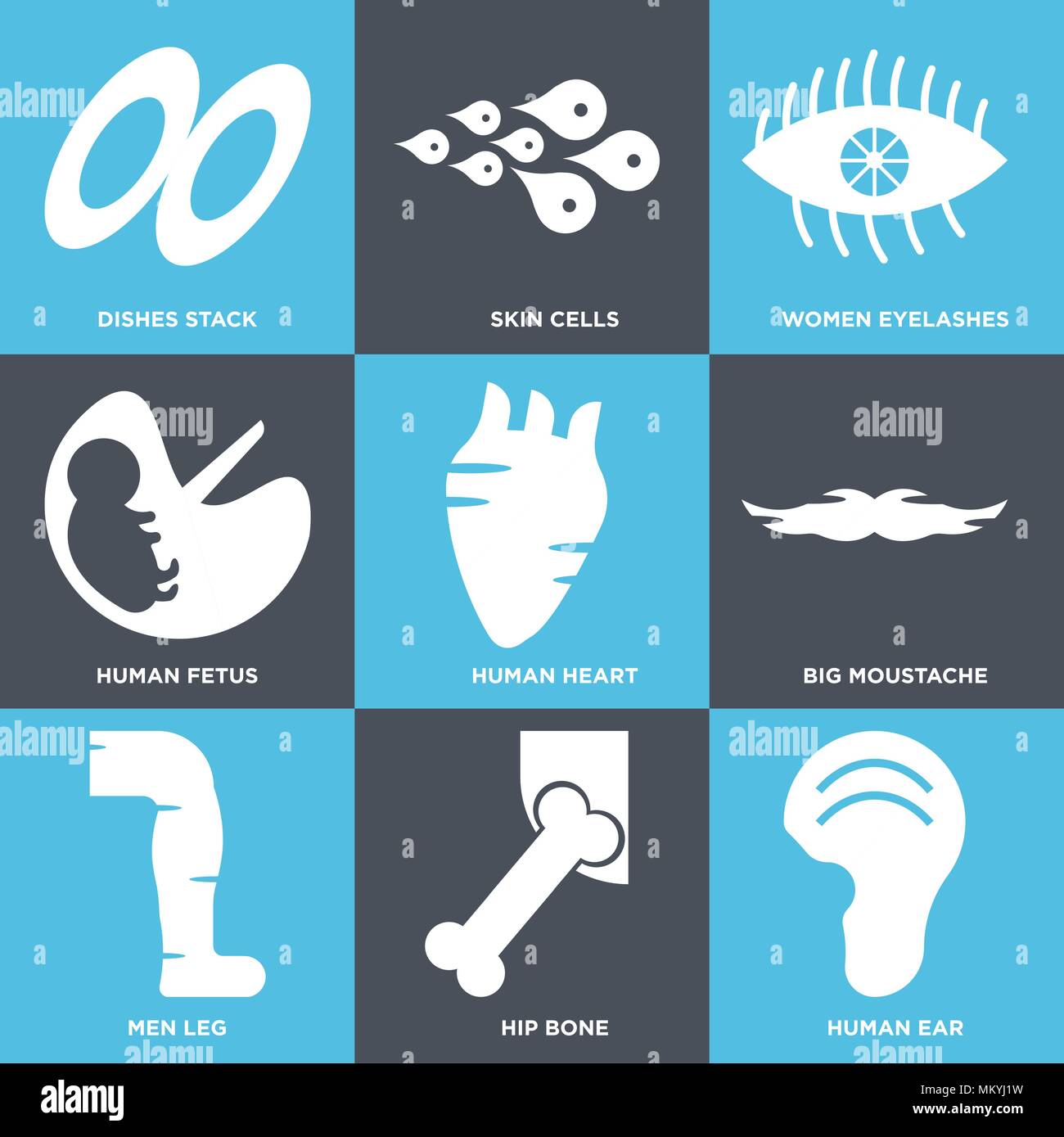 Skin cells icon vector vectors hi-res stock photography and images - Alamy