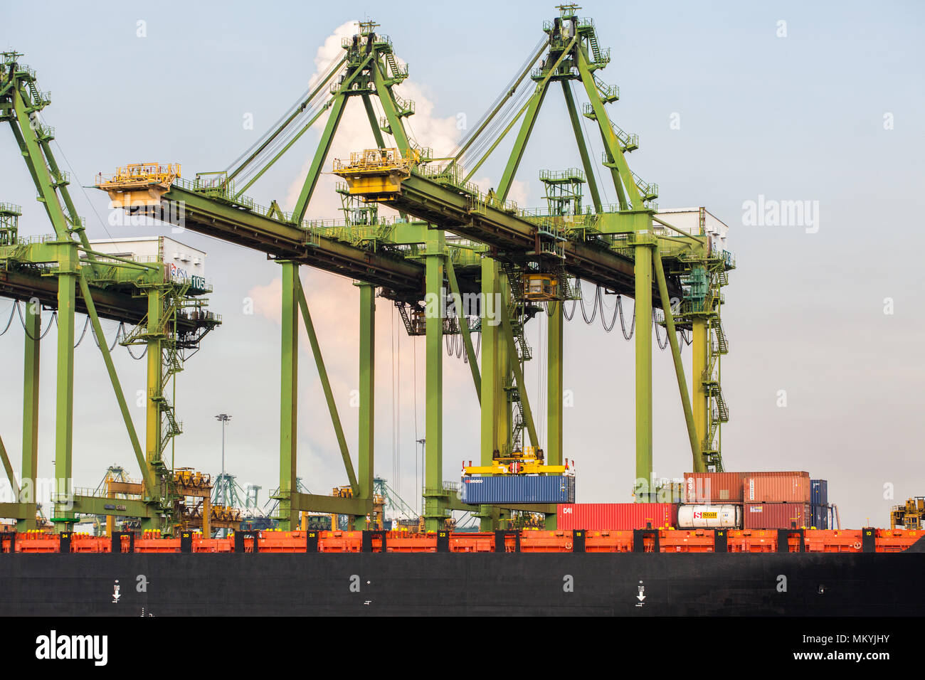 Container cranes lifting up containers from the vessel Stock Photo - Alamy