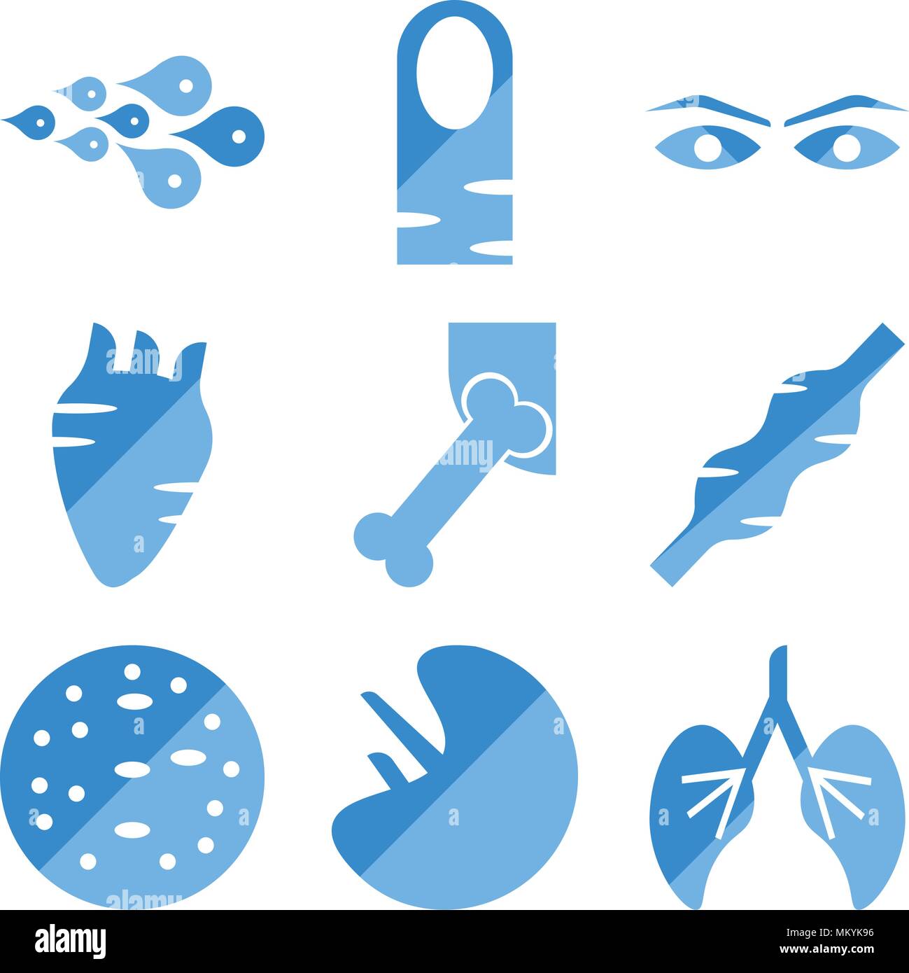 Strong lungs Stock Vector Images - Alamy