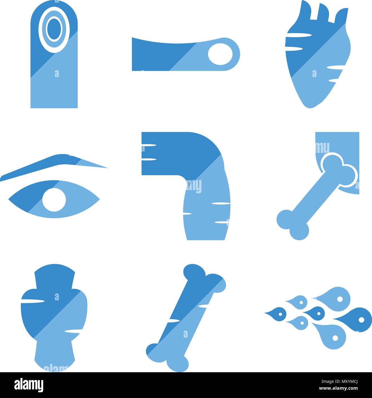 Skin cells icon vector vectors hi-res stock photography and images - Alamy
