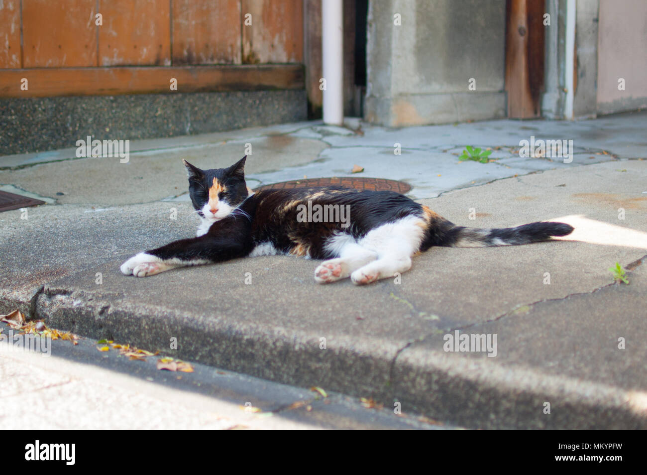Themed photo shoot hi-res stock photography and images - Alamy