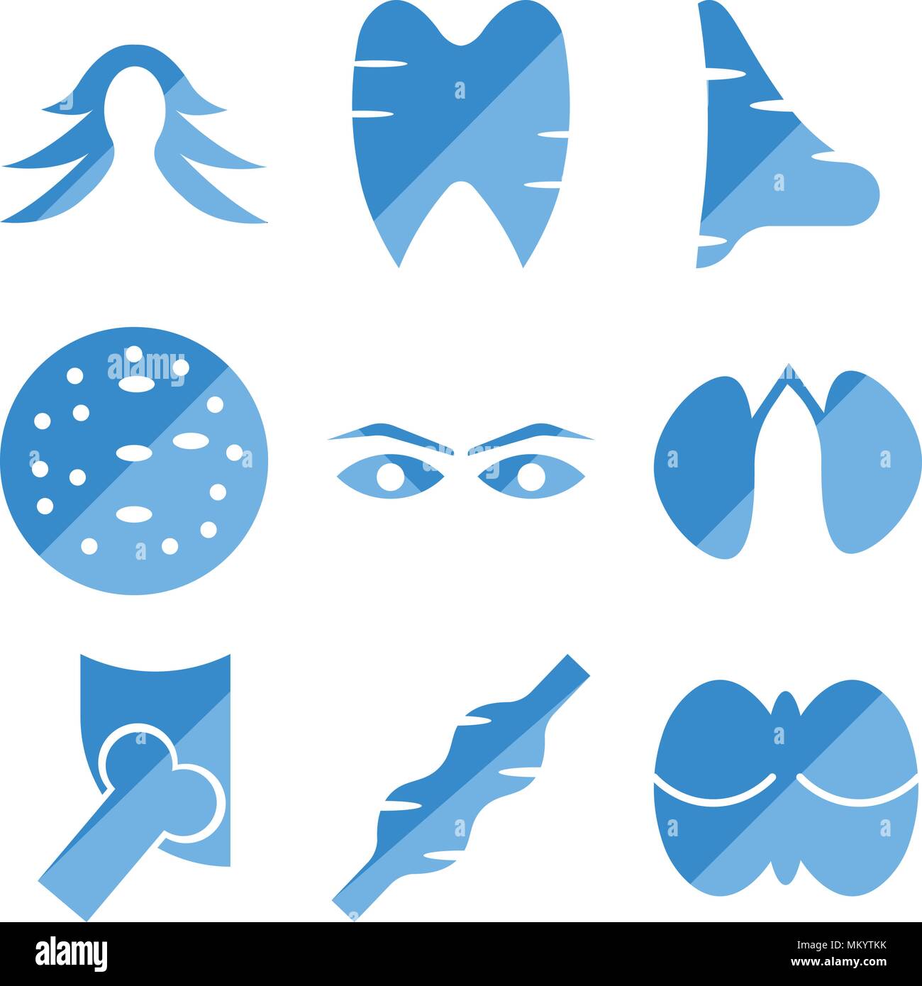 Set Of 9 simple editable icons such as Human Cerebellum, Muscle, Hip ...