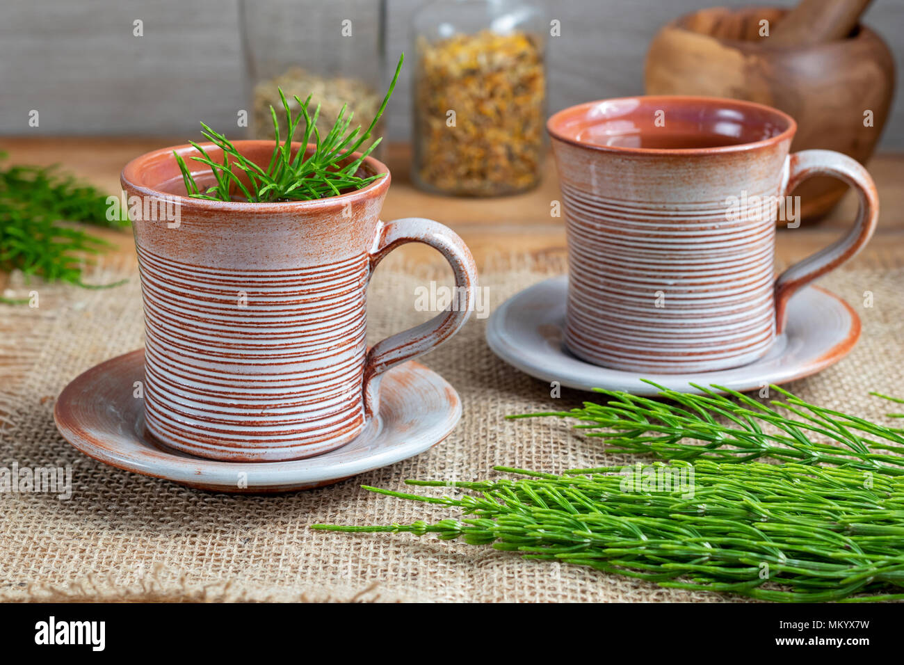 Two cups of horsetail tea with fresh Equisetum arvense plant on a table ...