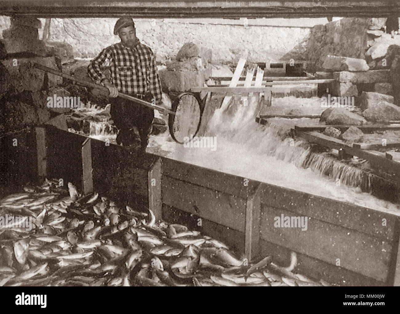 East wareham hi-res stock photography and images - Alamy