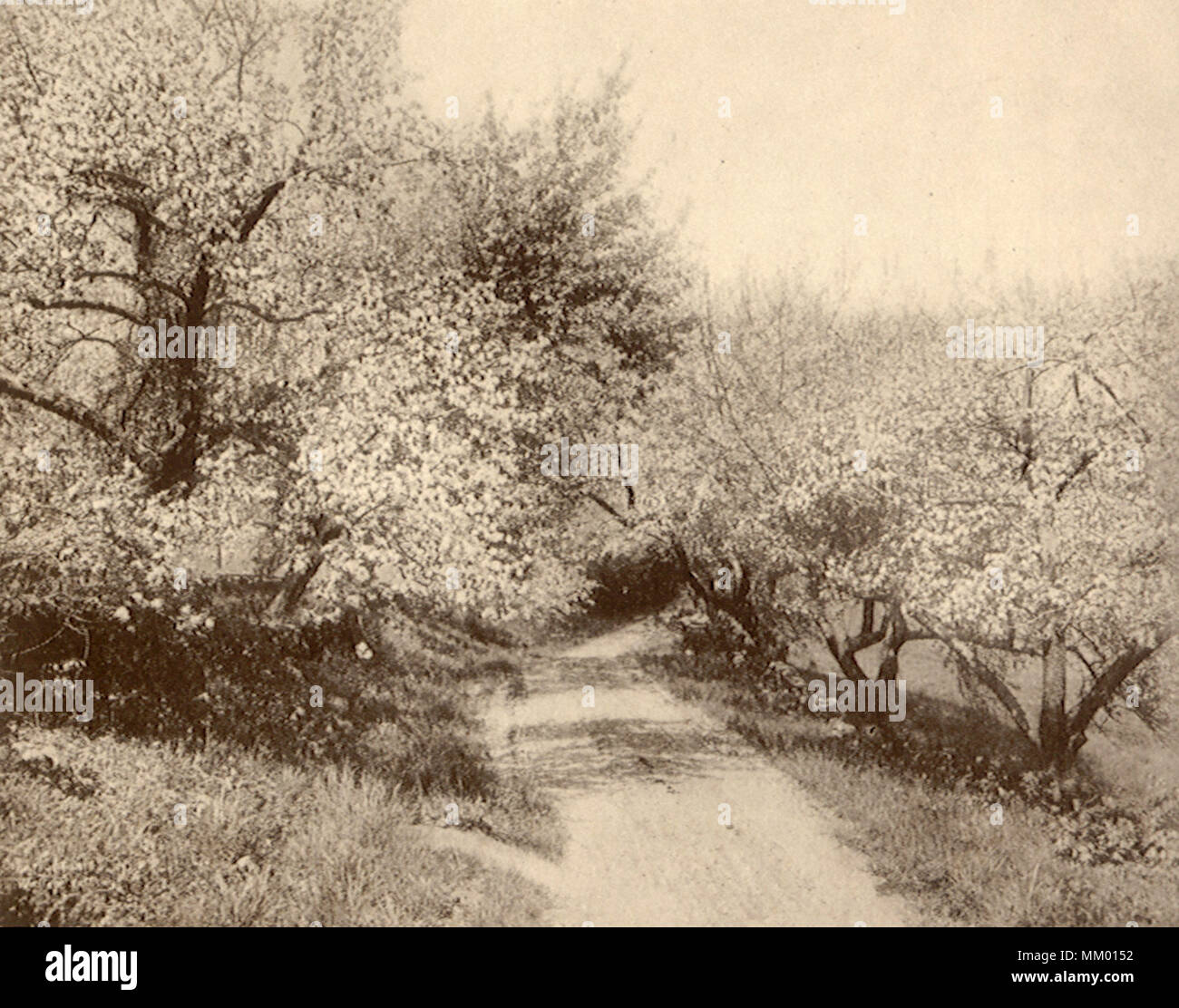 Buckland massachusetts hi-res stock photography and images - Alamy