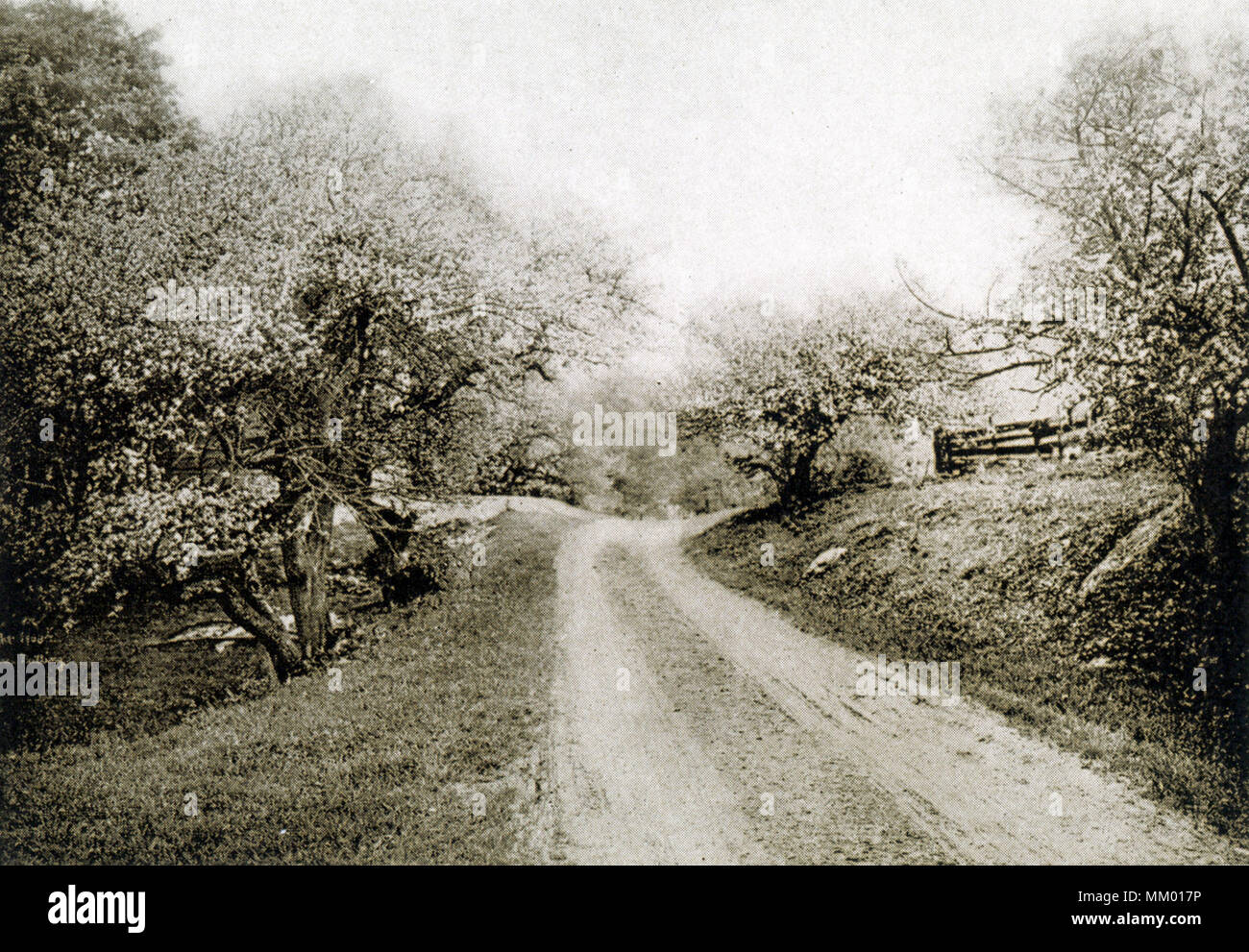 Buckland road hi-res stock photography and images - Alamy