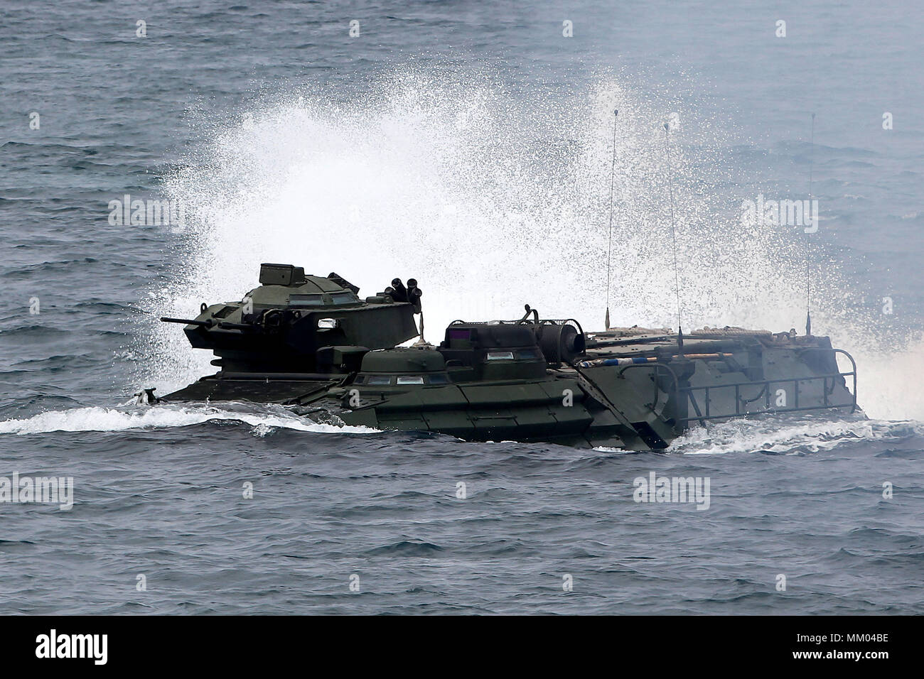 Aav hi-res stock photography and images - Alamy