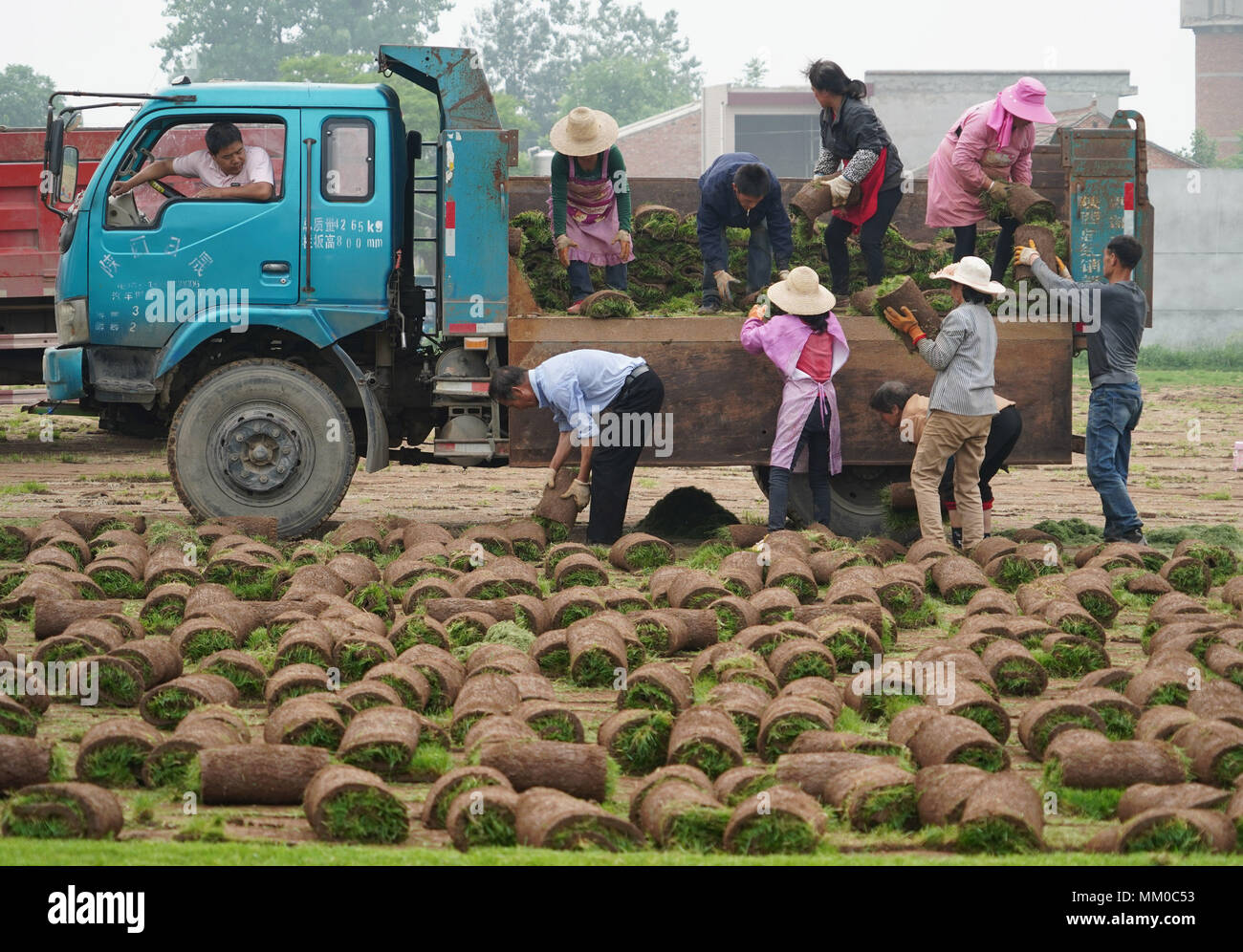 Urbanization process hi-res stock photography and images - Alamy