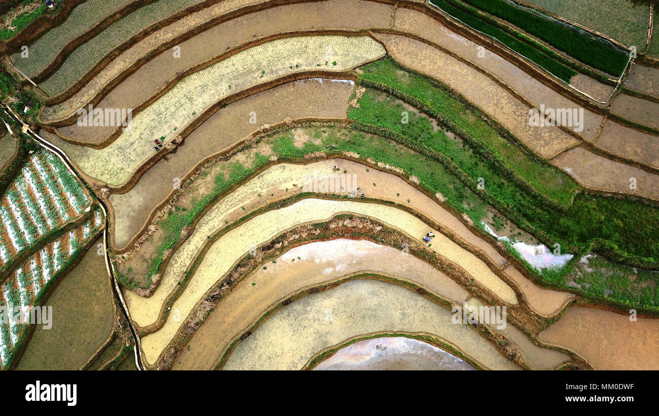 Longlin hi-res stock photography and images - Alamy