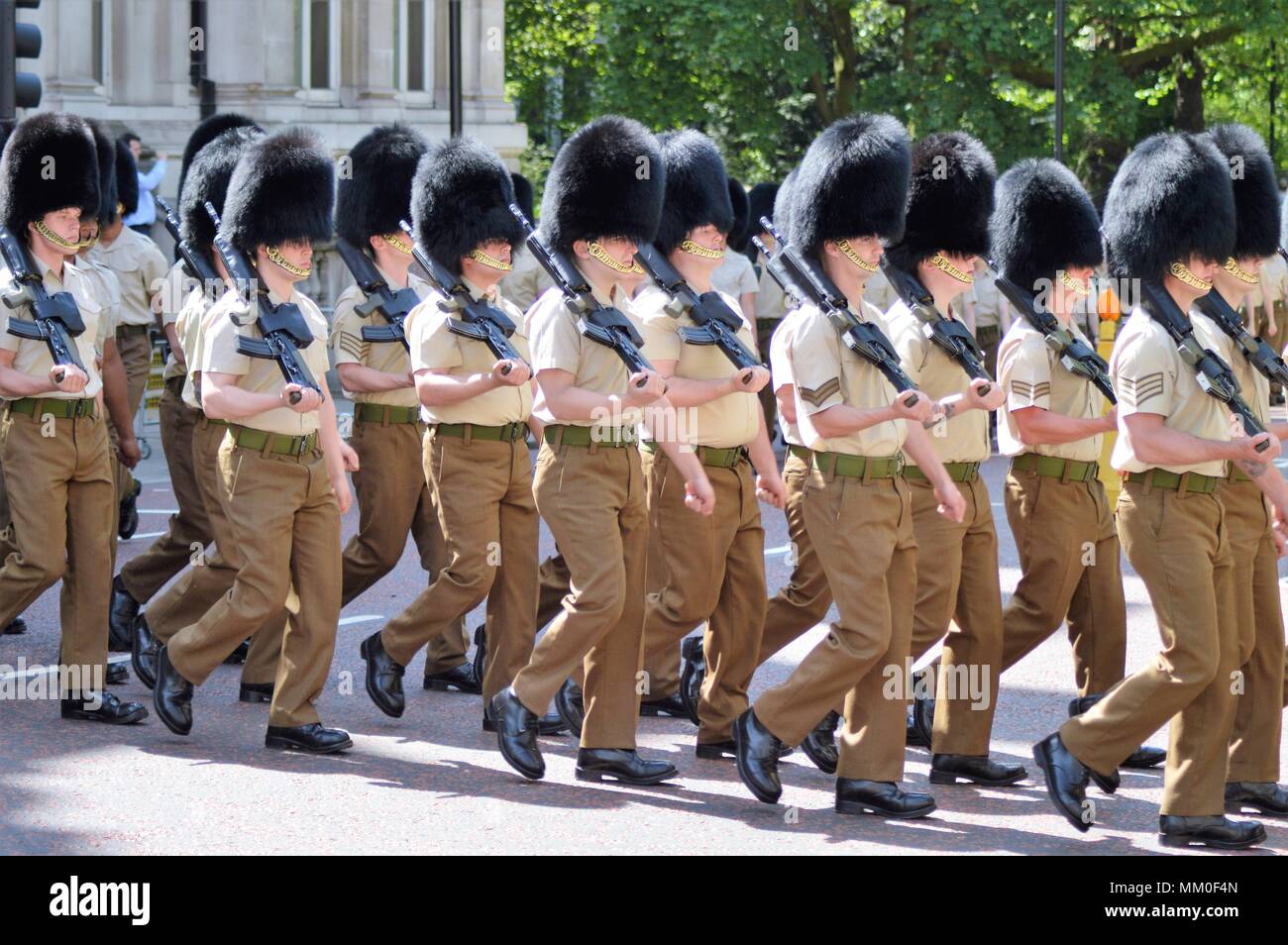 Trooping The Colour Rehearsal Stock Photo Alamy