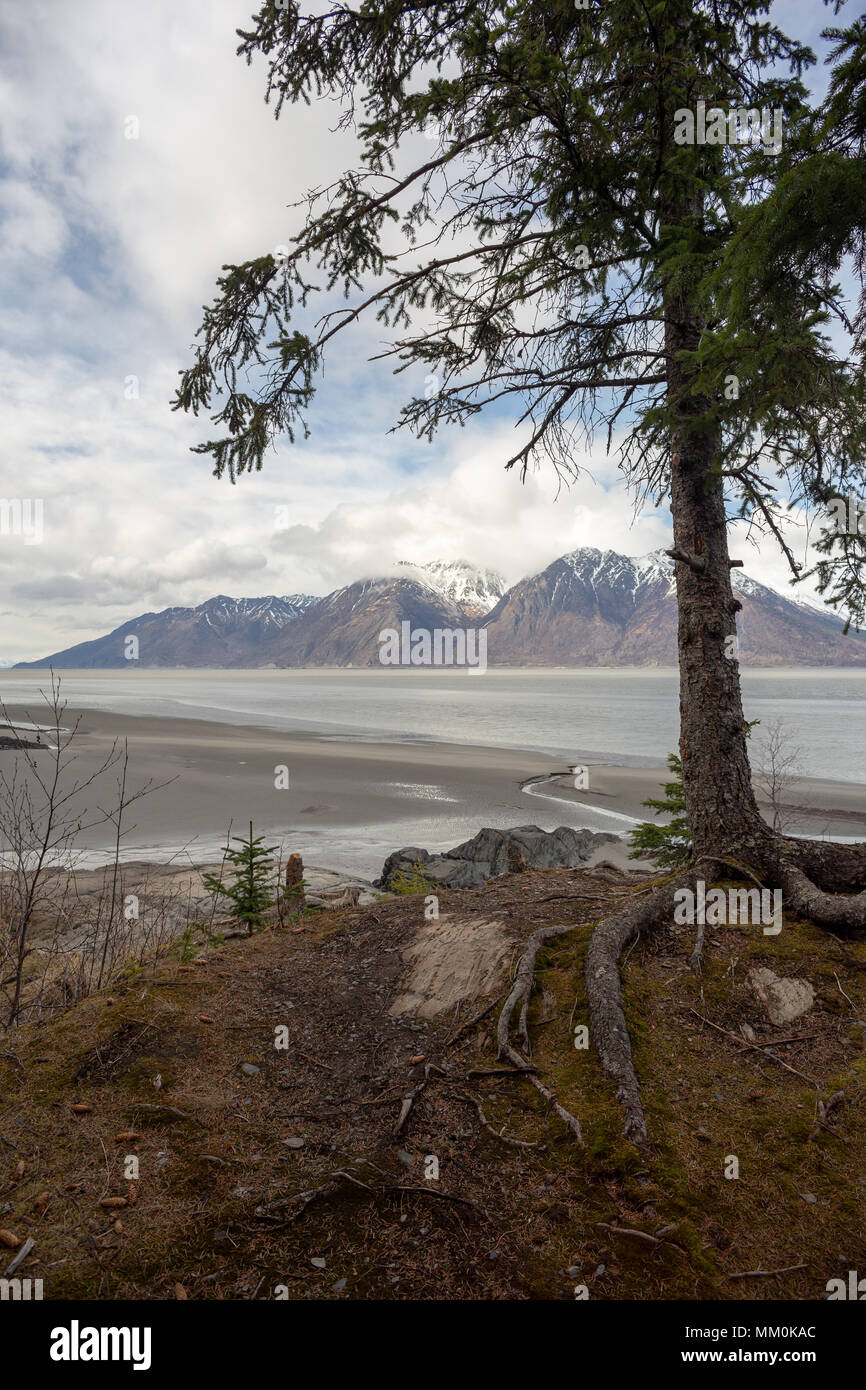 Turnagain Arm, Tidal Flats, Trees, Mountains and Water. Near Hope ...