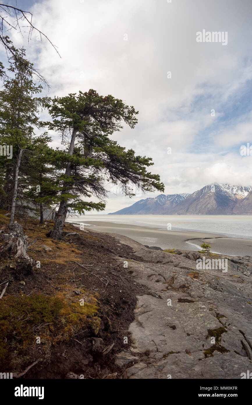Turnagain Arm, Tidal Flats, Trees, Mountains and Water. Near Hope ...