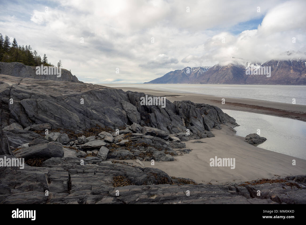 Turnagain Arm, Tidal Flats, Trees, Mountains and Water. Near Hope ...
