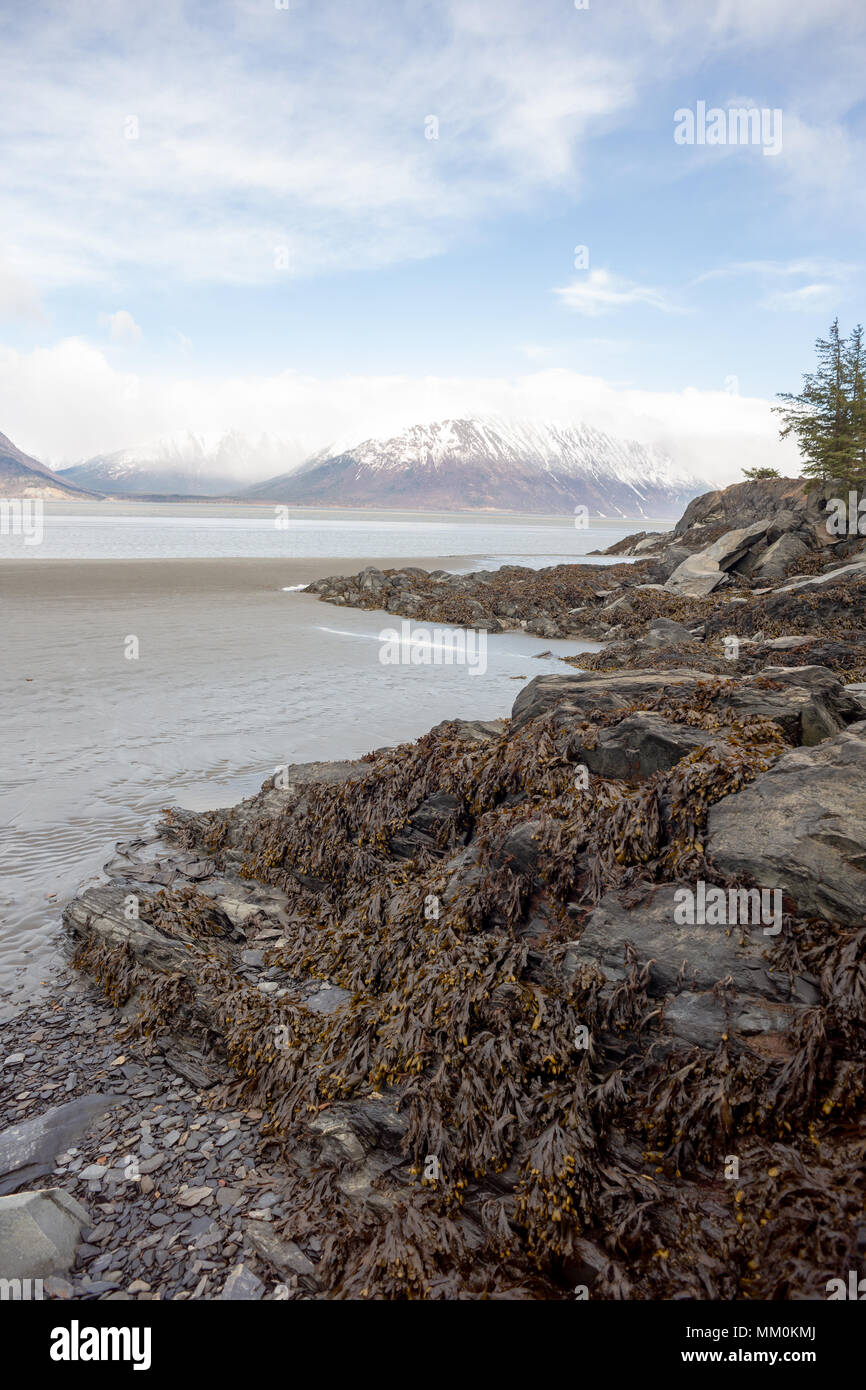 Turnagain arm tidal bore hi-res stock photography and images - Alamy