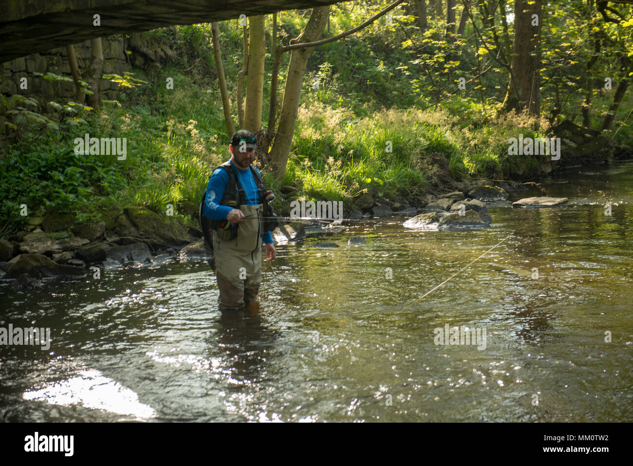 a man fly fishing in a shallow river under dappled sunlight Stock Photo ...