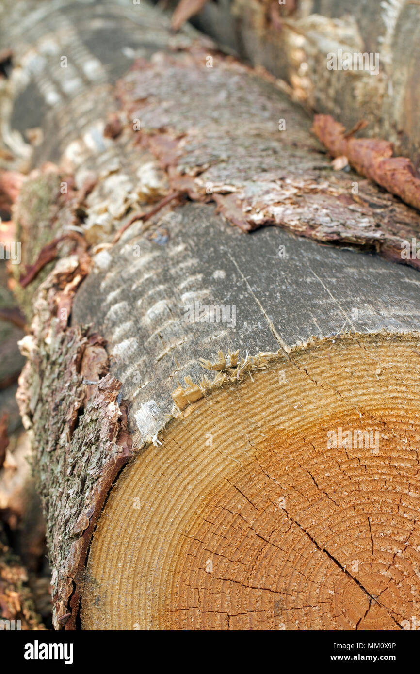 Silver harvester hi-res stock photography and images - Alamy