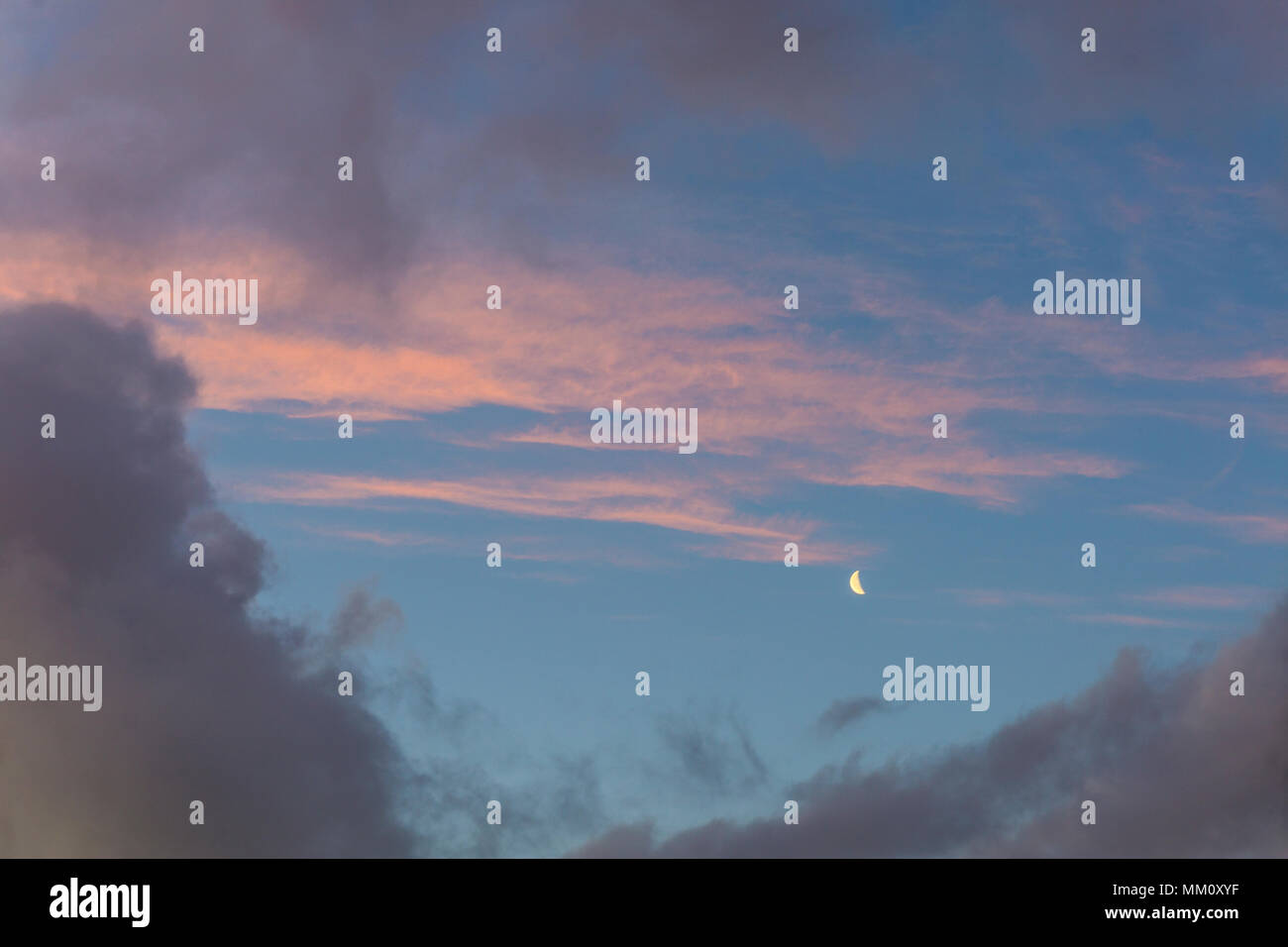 The colors on earth Stock Photo - Alamy