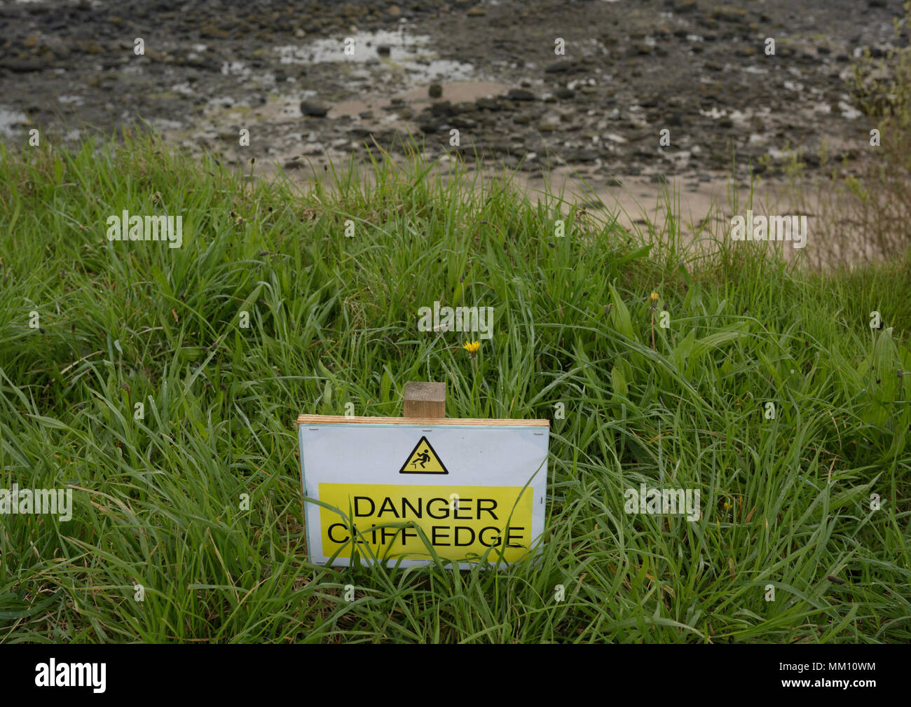 Yellow and white Danger cliff edge warning sign on wales coast path ...