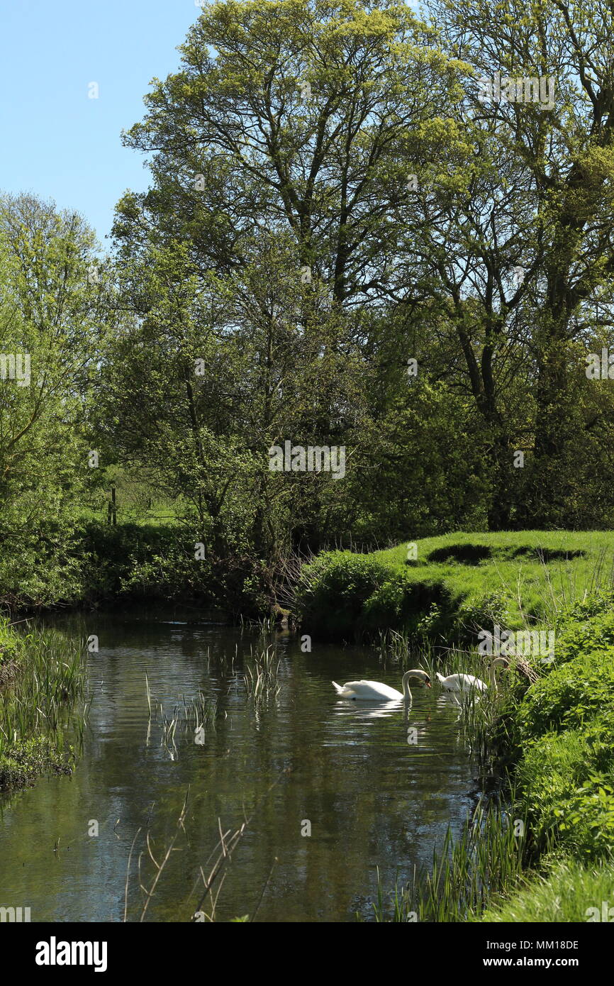 Colne rivers hi-res stock photography and images - Alamy