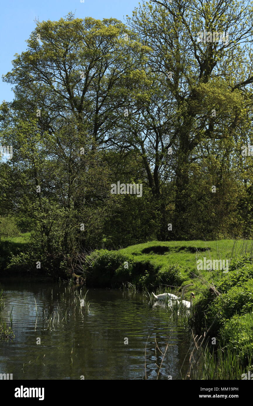 Colne rivers hi-res stock photography and images - Alamy