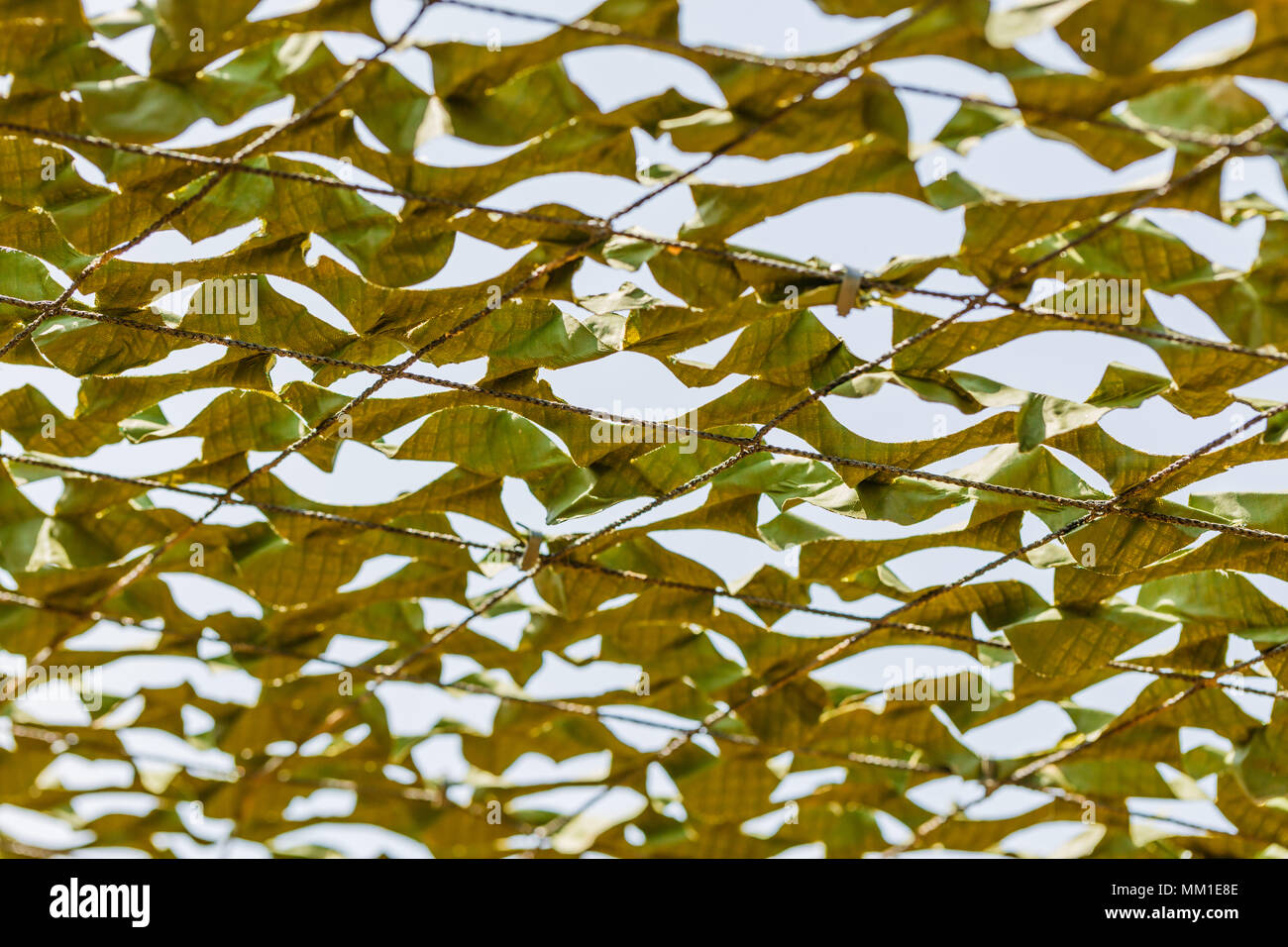 inside of Camouflage mesh hidden military objects Stock Photo - Alamy