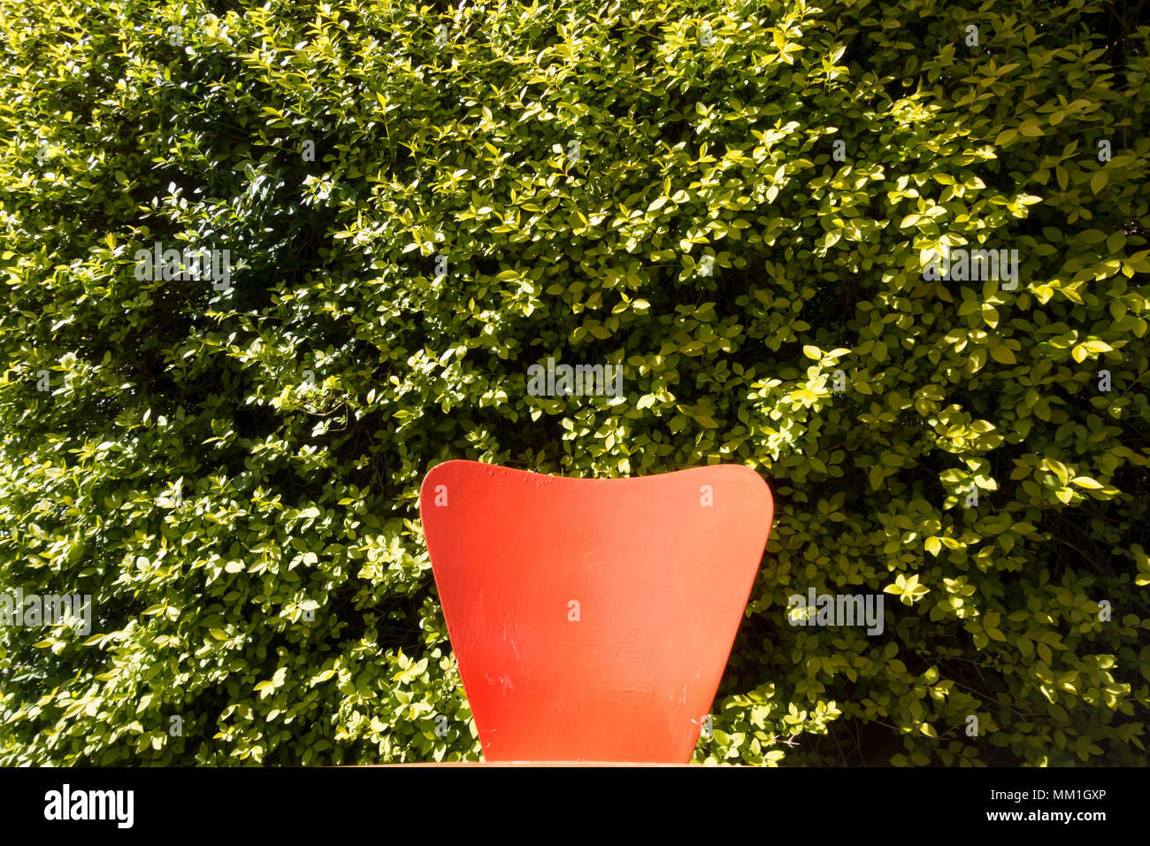 Behind the table hi-res stock photography and images - Alamy