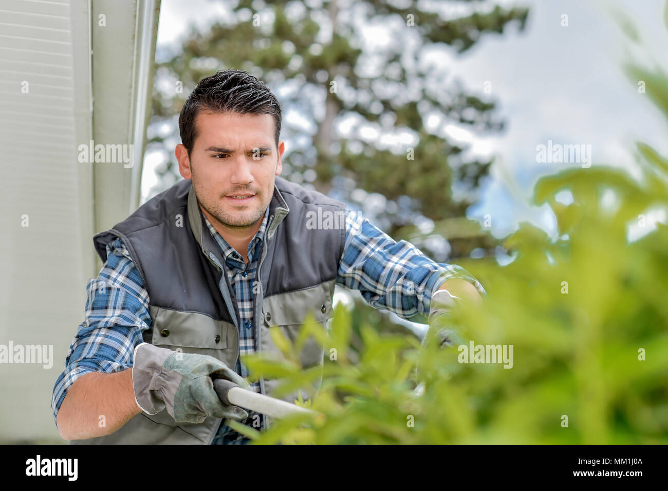 Portrait serious man gardener hi-res stock photography and images - Alamy