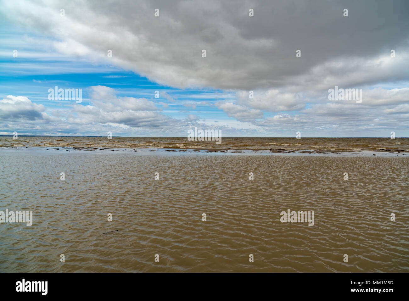Spring landscape. The Ob reservoir. Russia, Siberia, the Novosibirsk ...