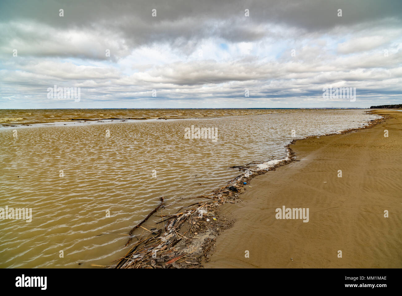 Spring landscape. The Ob reservoir. Russia, Siberia, the Novosibirsk ...