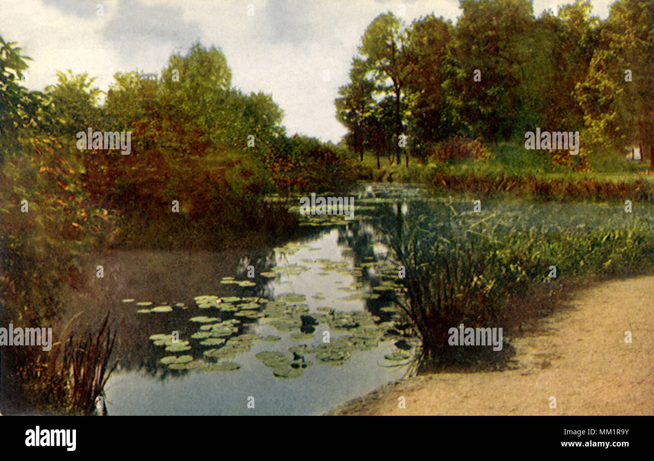 Lily Pond at Humboldt Park. Milwaukee. 1911 Stock Photo - Alamy
