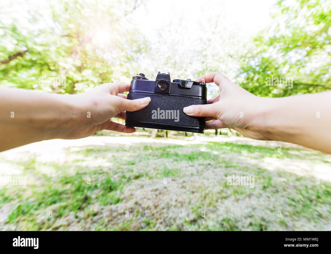 Female hands hold vintage camera in nature Stock Photo - Alamy