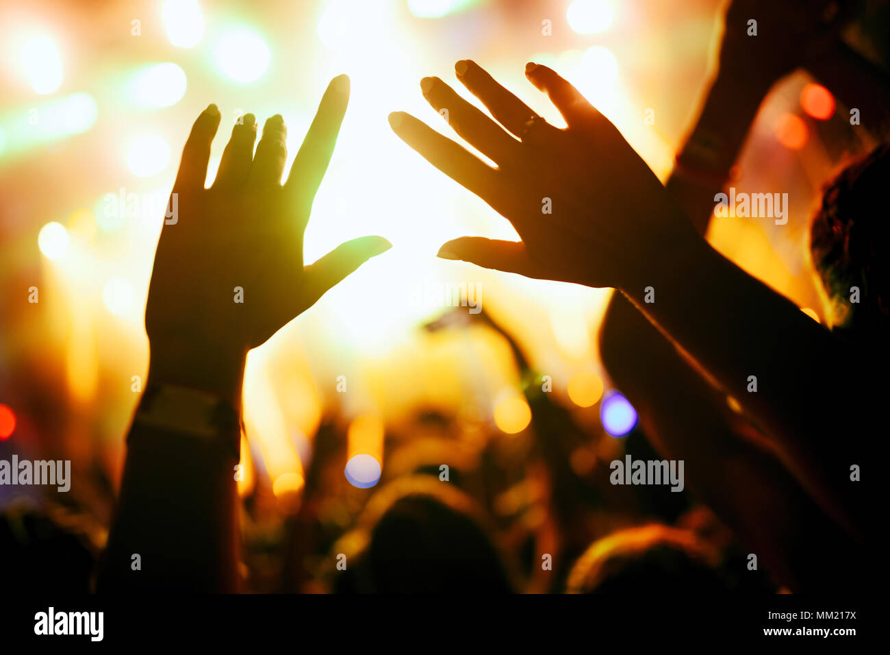 Portrait of happy crowd enjoying at music festival Stock Photo - Alamy
