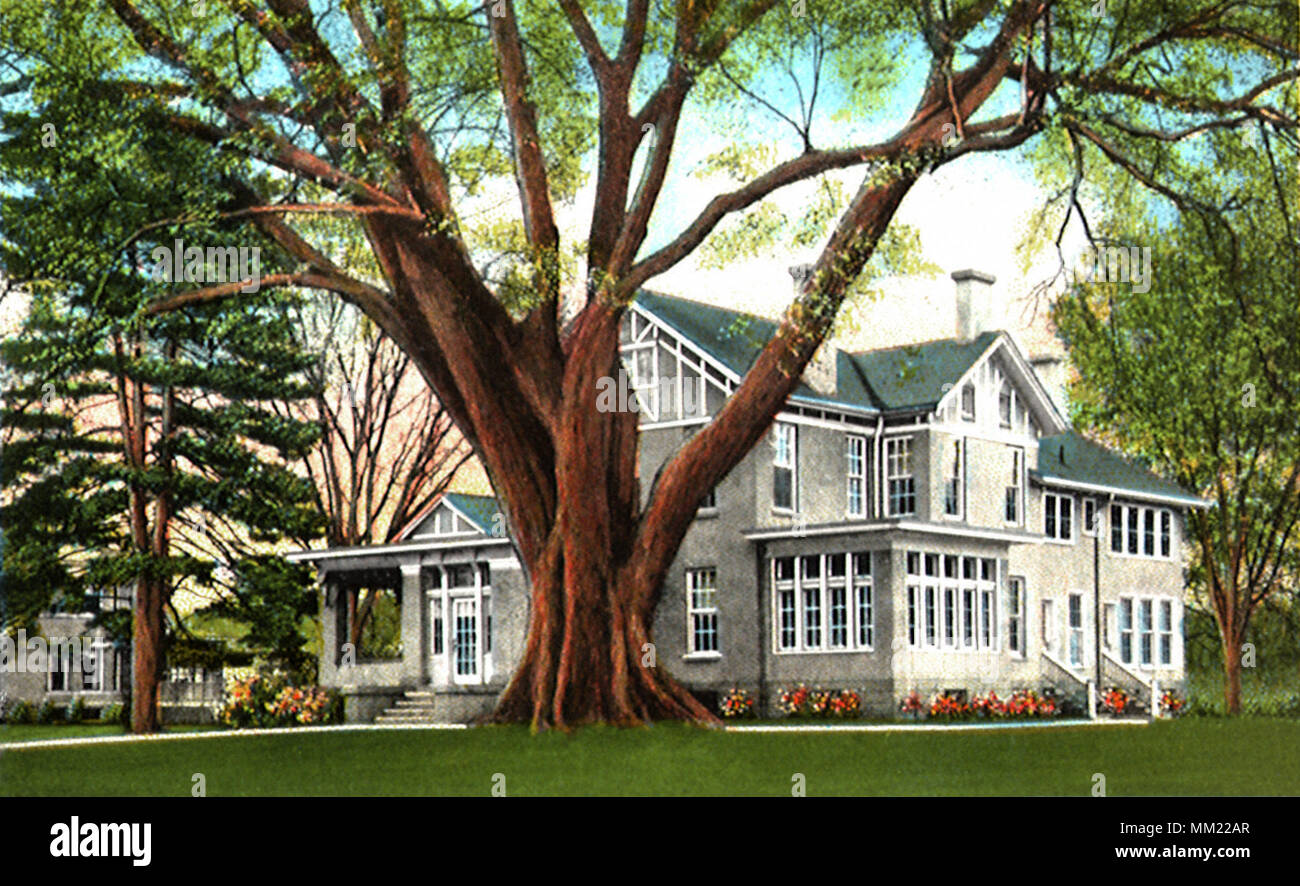 Largest Elm Tree in United States. Marietta. 1920 Stock Photo - Alamy