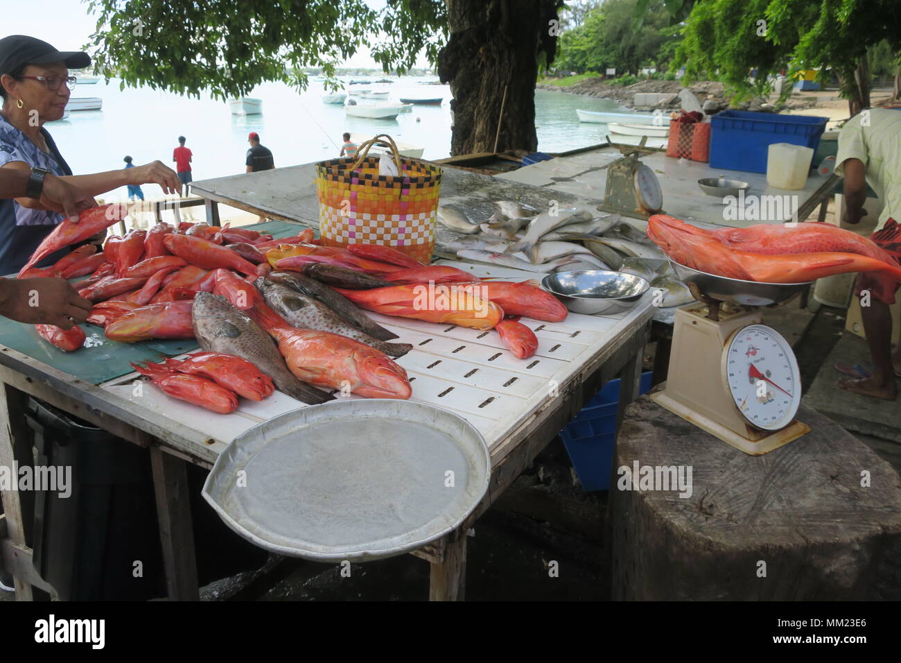 Mauritius local food seafood hi-res stock photography and images - Alamy