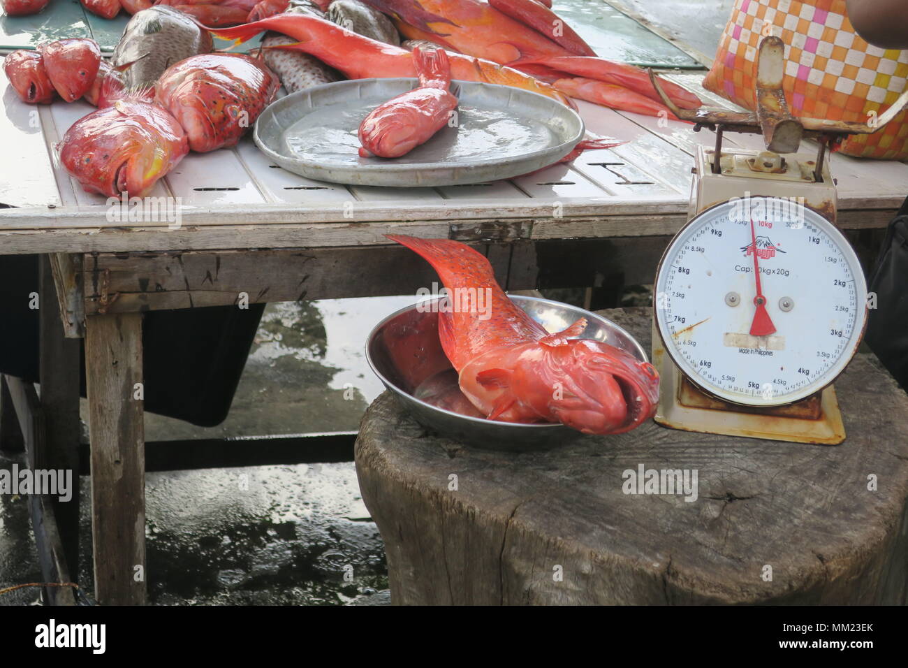 Fresh fish on a street market stall, Golden bay, Mauritius island Stock ...