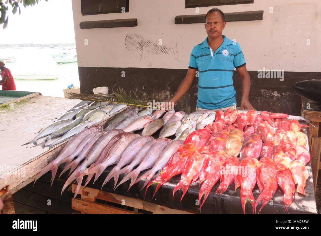 Fresh fish on a street market stall, Golden bay, Mauritius island Stock ...